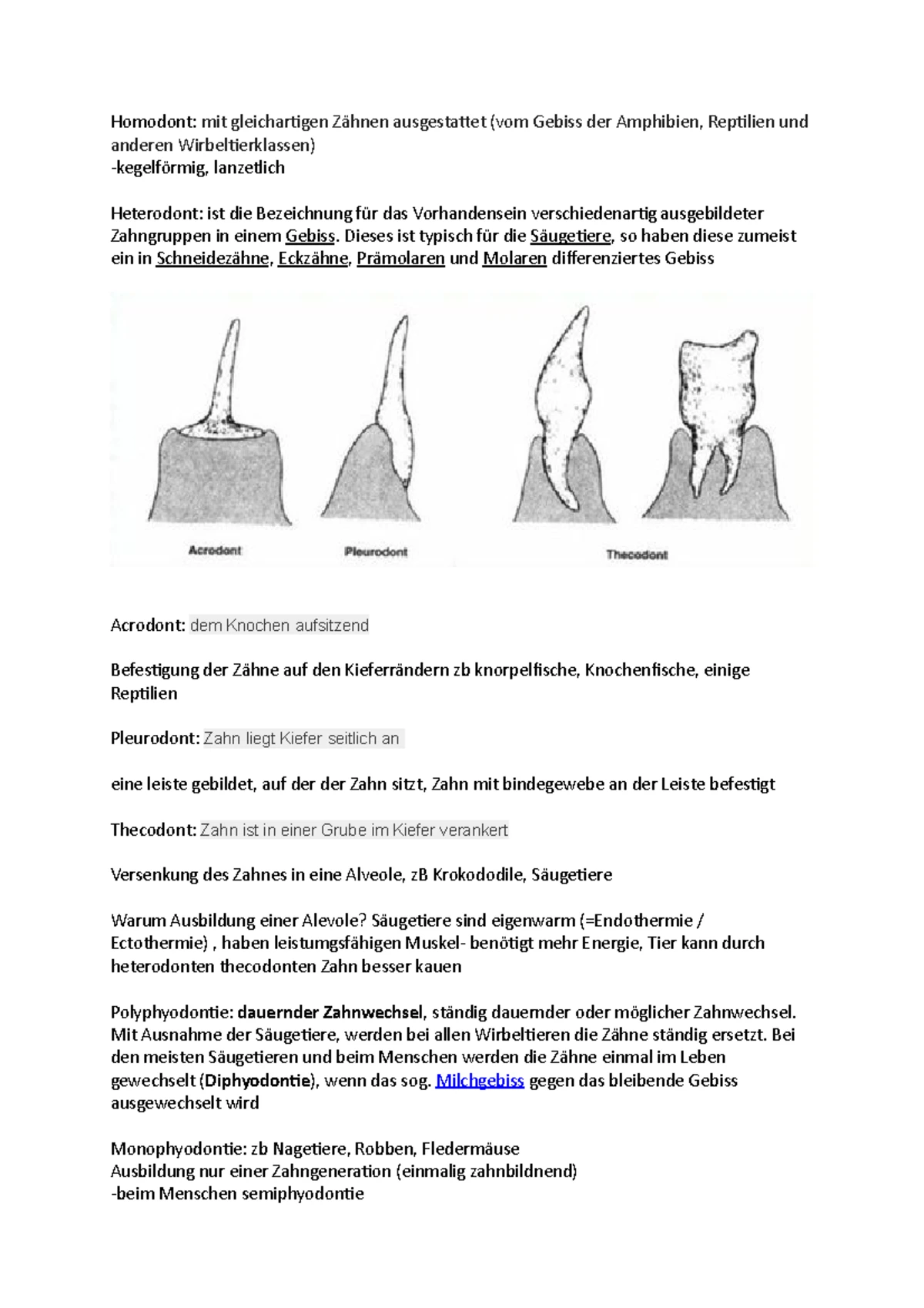 Homodont - Dieses ist typisch für die Säugetiere, so haben diese ...