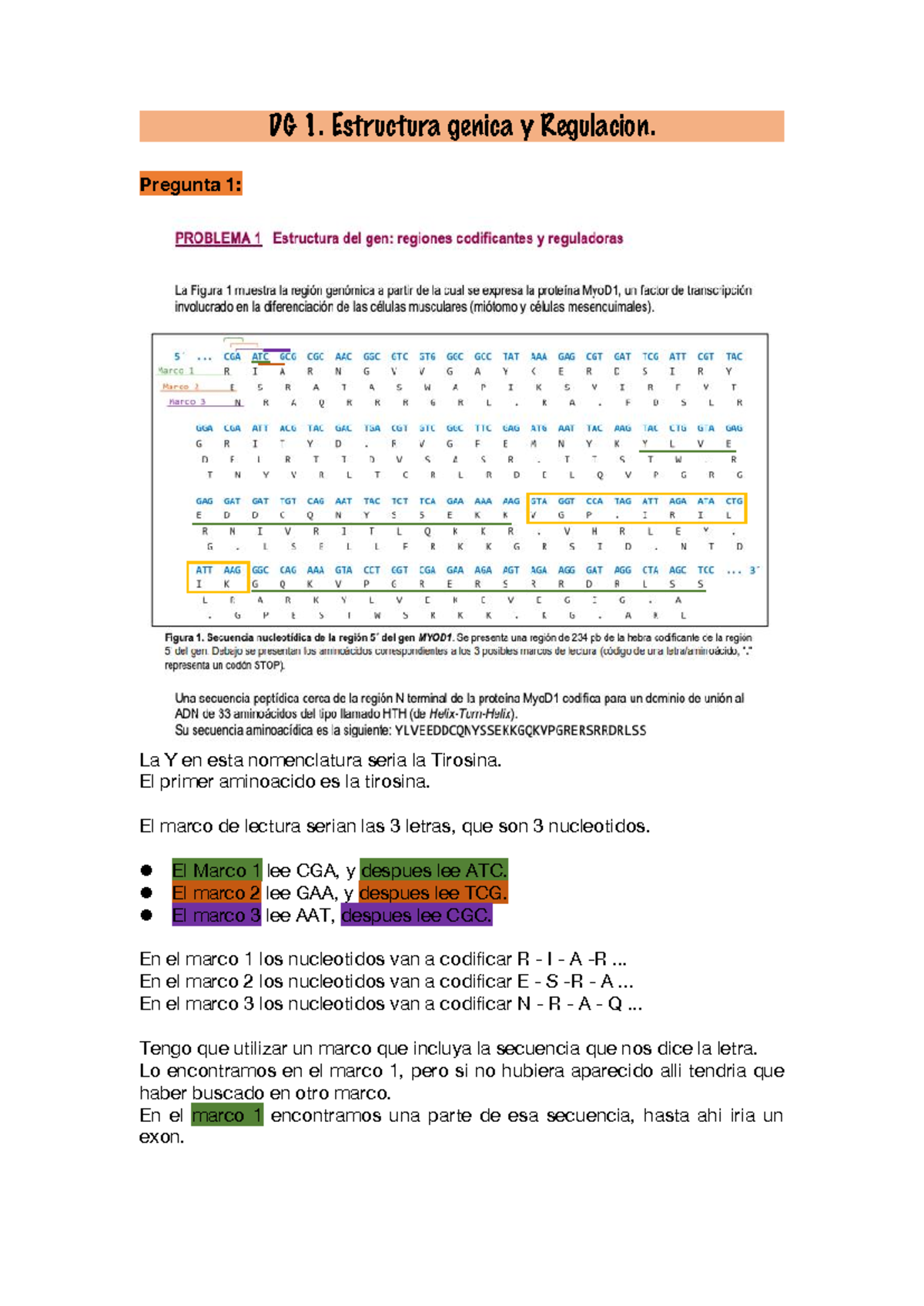 DG 1. Estructura Genica y Regulación: Análisis de la Transcripción y ...