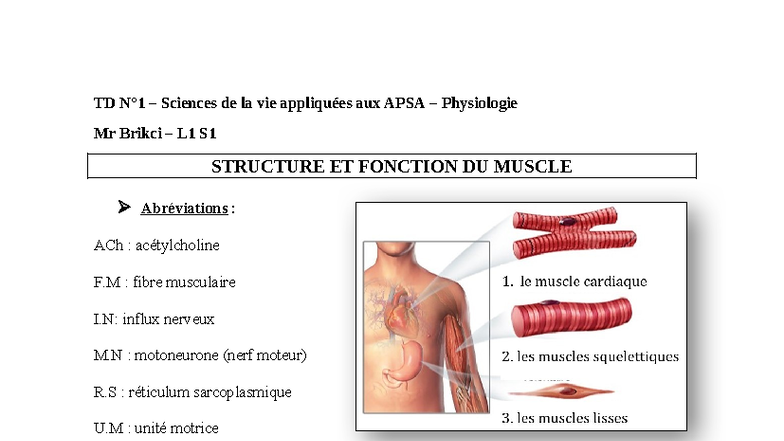 TD L1 S1 - Structure et Fonction du Muscle en Physiologie - Studocu