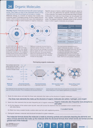 Natural selection Worksheet - Types of Natural Selection ####### Key ...