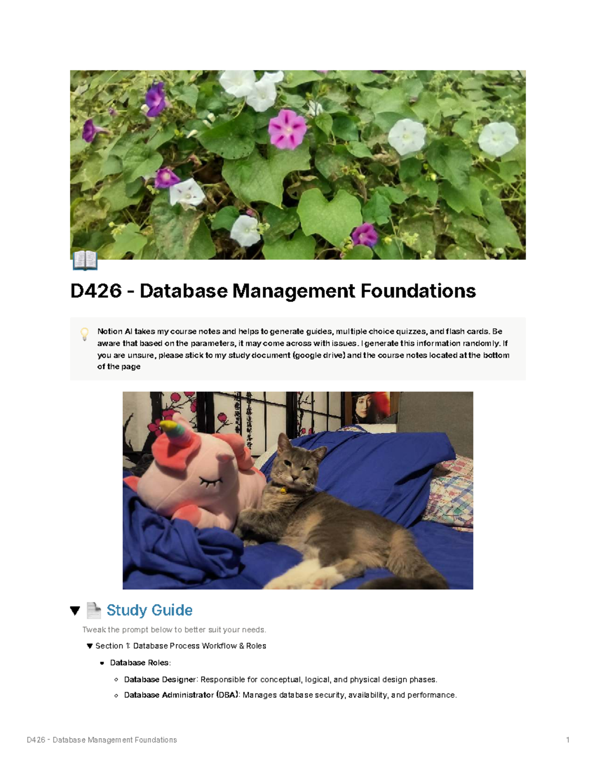 D426 - Study Guide for Database Management Foundations Exam - Studocu
