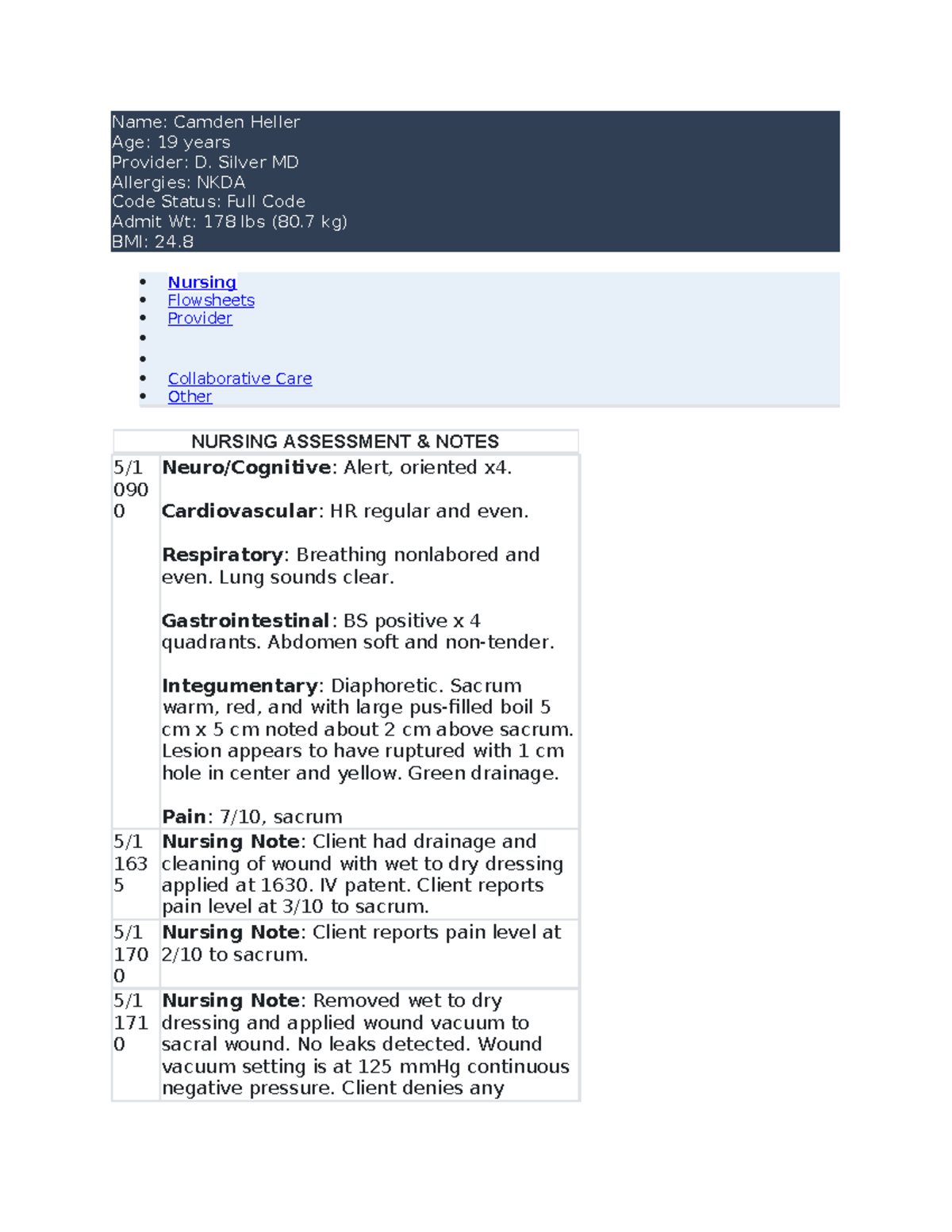 Nursing Assessment Notes for Camden Heller - Patient Care Documentation ...