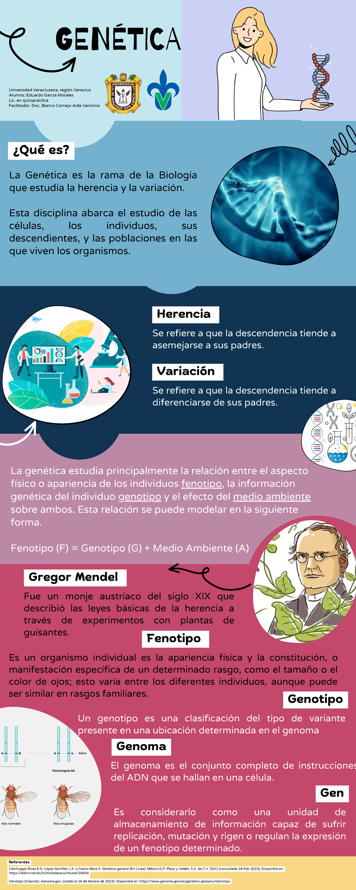 Genética - Infografía sobre Herencia y Variación en Biología - Studocu