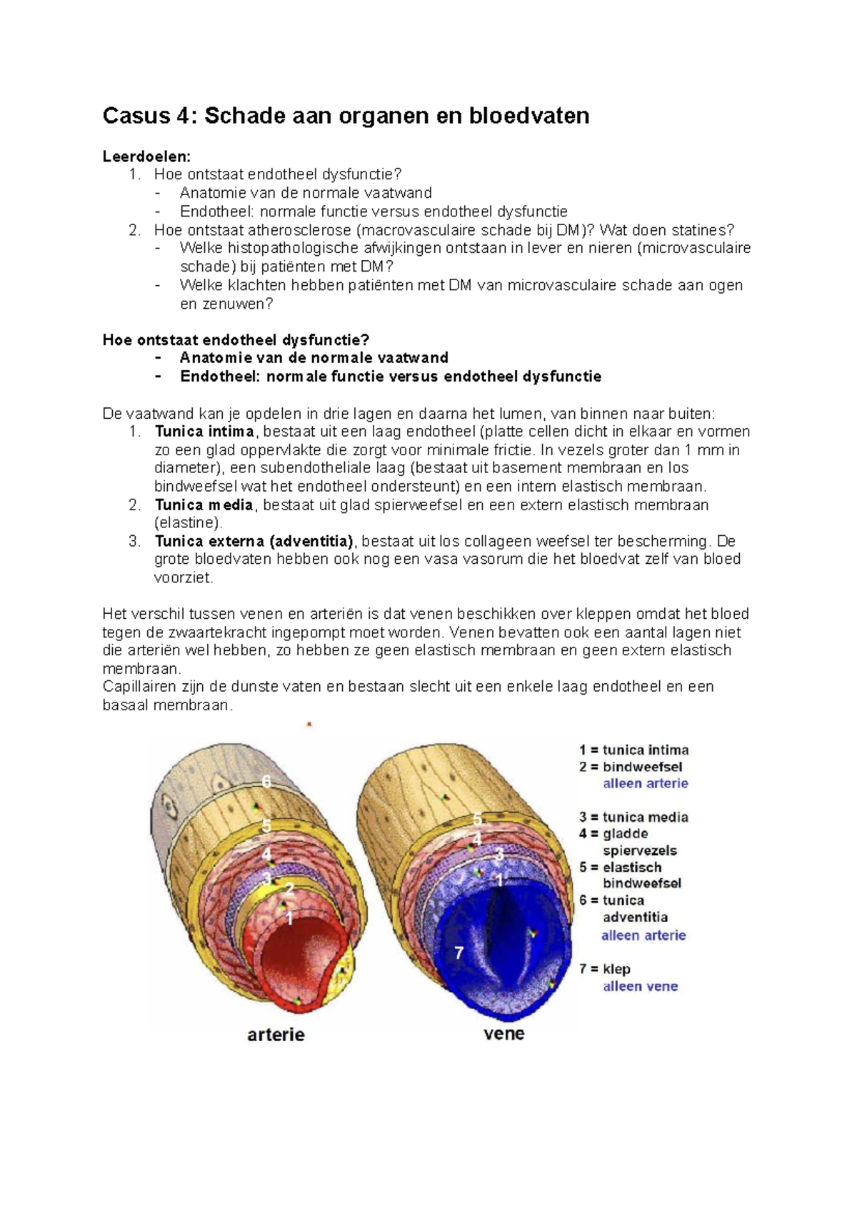 Casus 4: Endotheel Dysfunctie en Atherosclerose bij Diabetes Mellitus ...