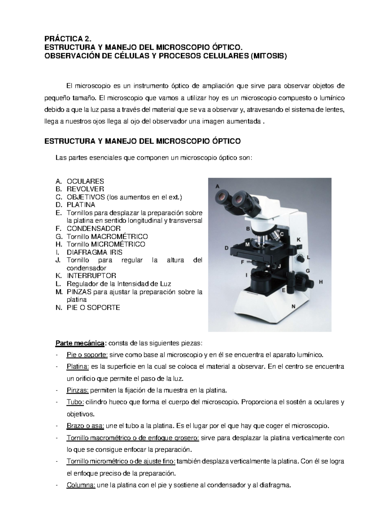 Hoja De Trabajo Sobre Las Partes De Un Microscopio óptico Compuesto