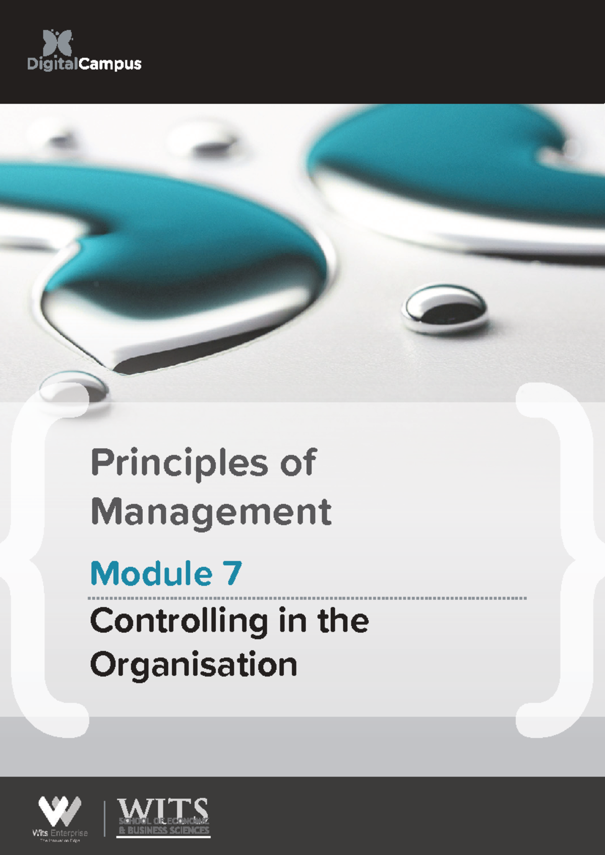 Principles of Management: Module 7 - Controlling in the Organisation - Studocu