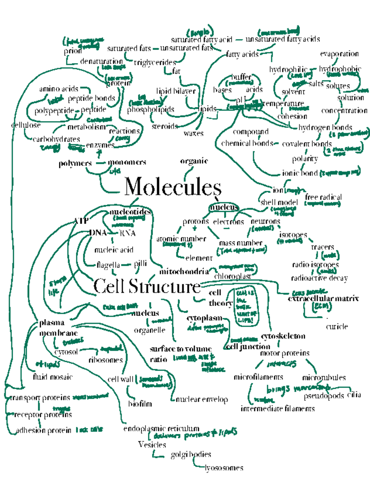 BIO 189 notes 2 - Map - ####### Molecules electrons nucleus protons ...