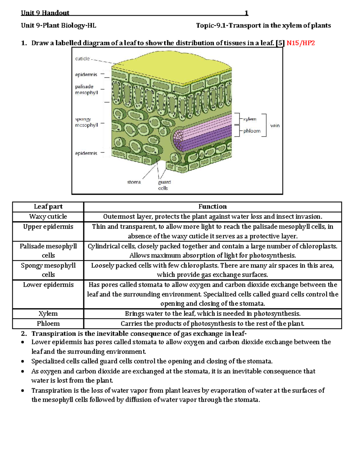 Unit 9 Handout: Xylem and Phloem Structure & Function in Plants - Studocu