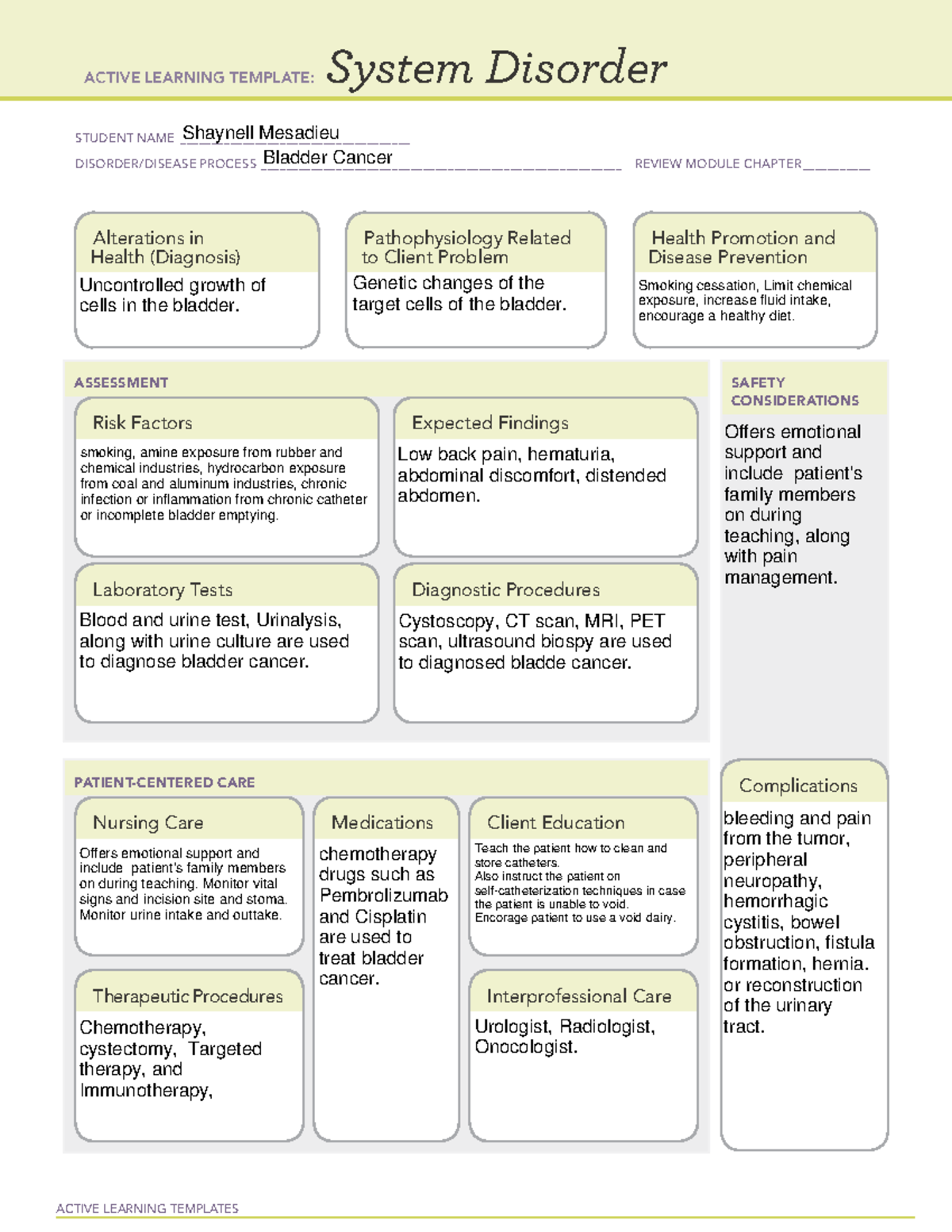 ATI Learning Template: Bladder Cancer Overview and Nursing Care - Studocu