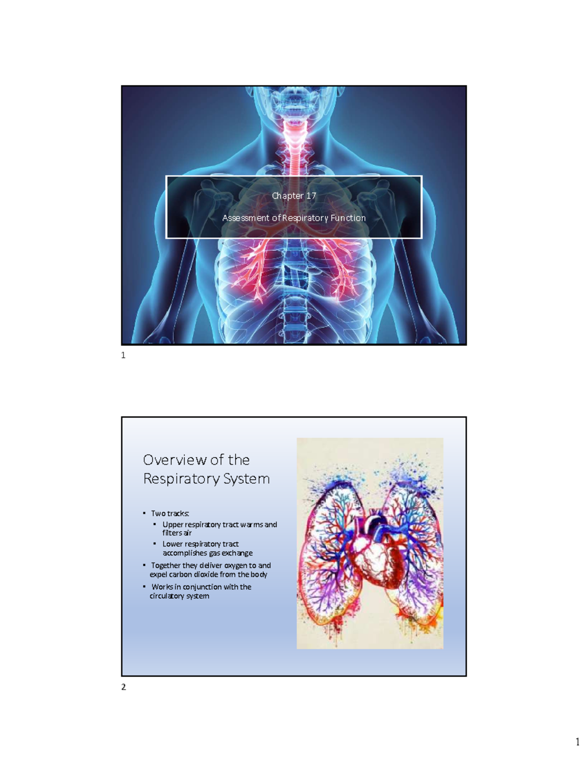 Assessment of Respiratory Function - Chapter 17 Overview - Studocu