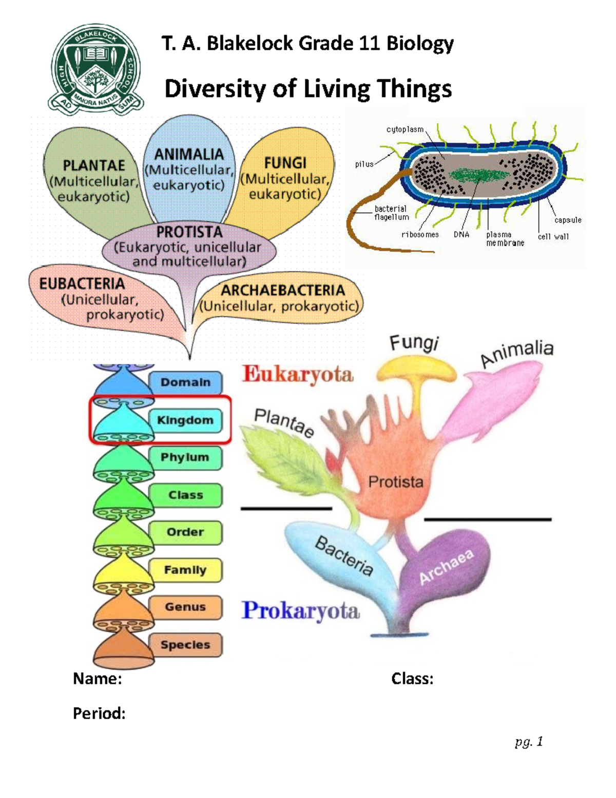 Diversity of living things handout for grade 11 - T. A. Blakelock Grade ...