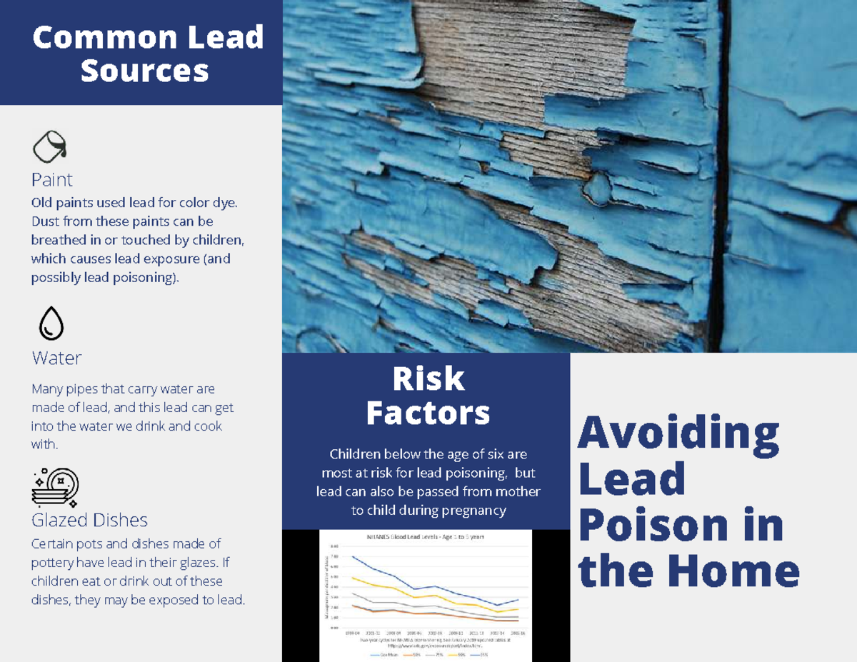 Avoiding Lead Poisoning in the Home: Key Sources & Prevention - Studocu