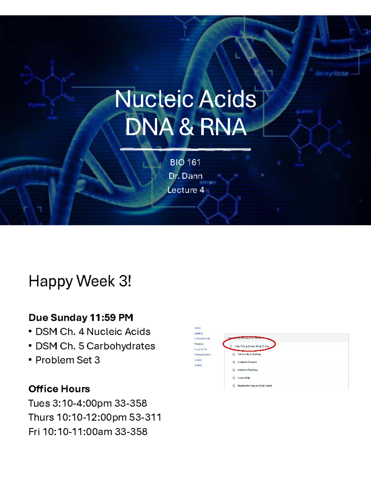 Nucleic Acids Overview: DNA & RNA - BIO 161 Lecture 4 Notes - Nucleic ...