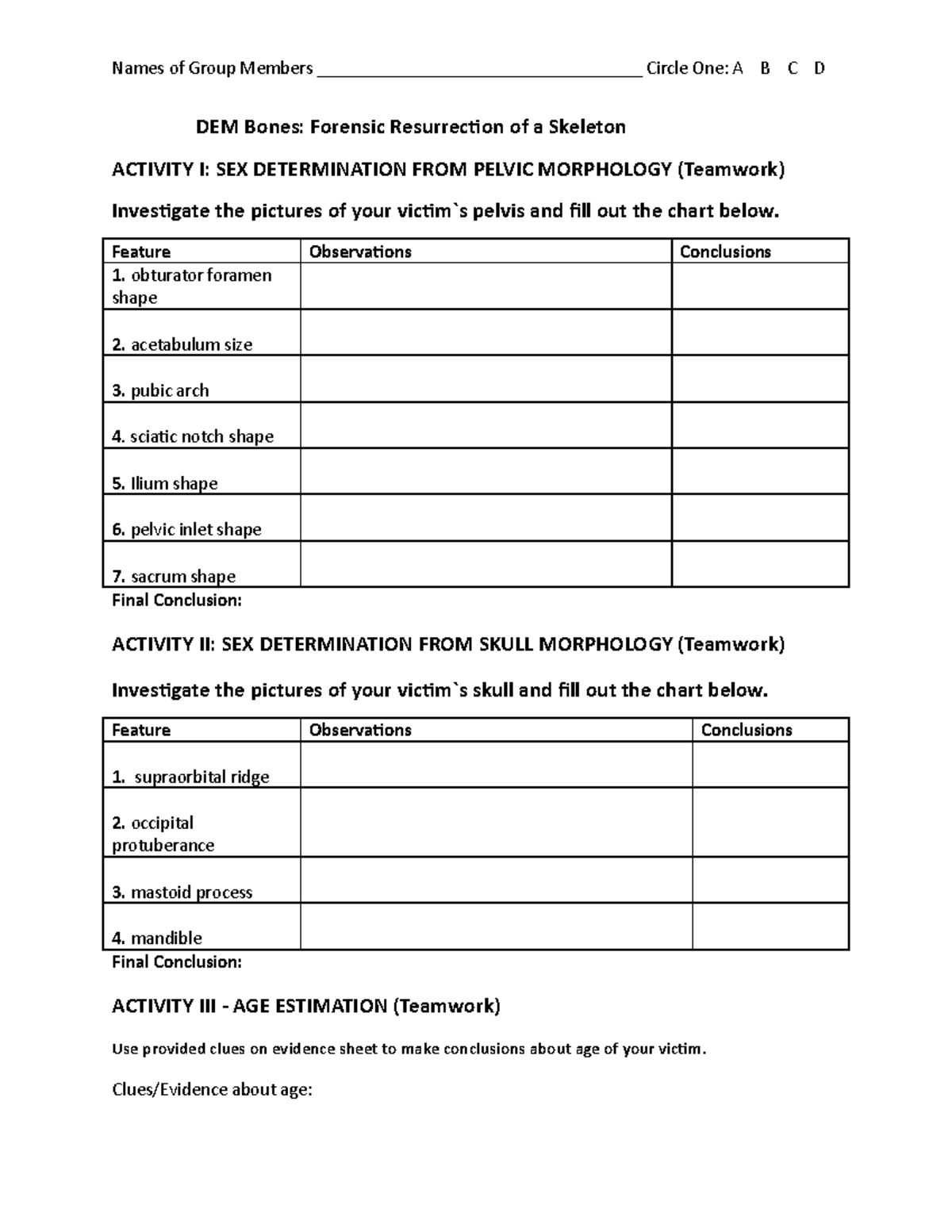 DEM Bones Forensic Analysis Teamwork Answer Sheet - Studocu
