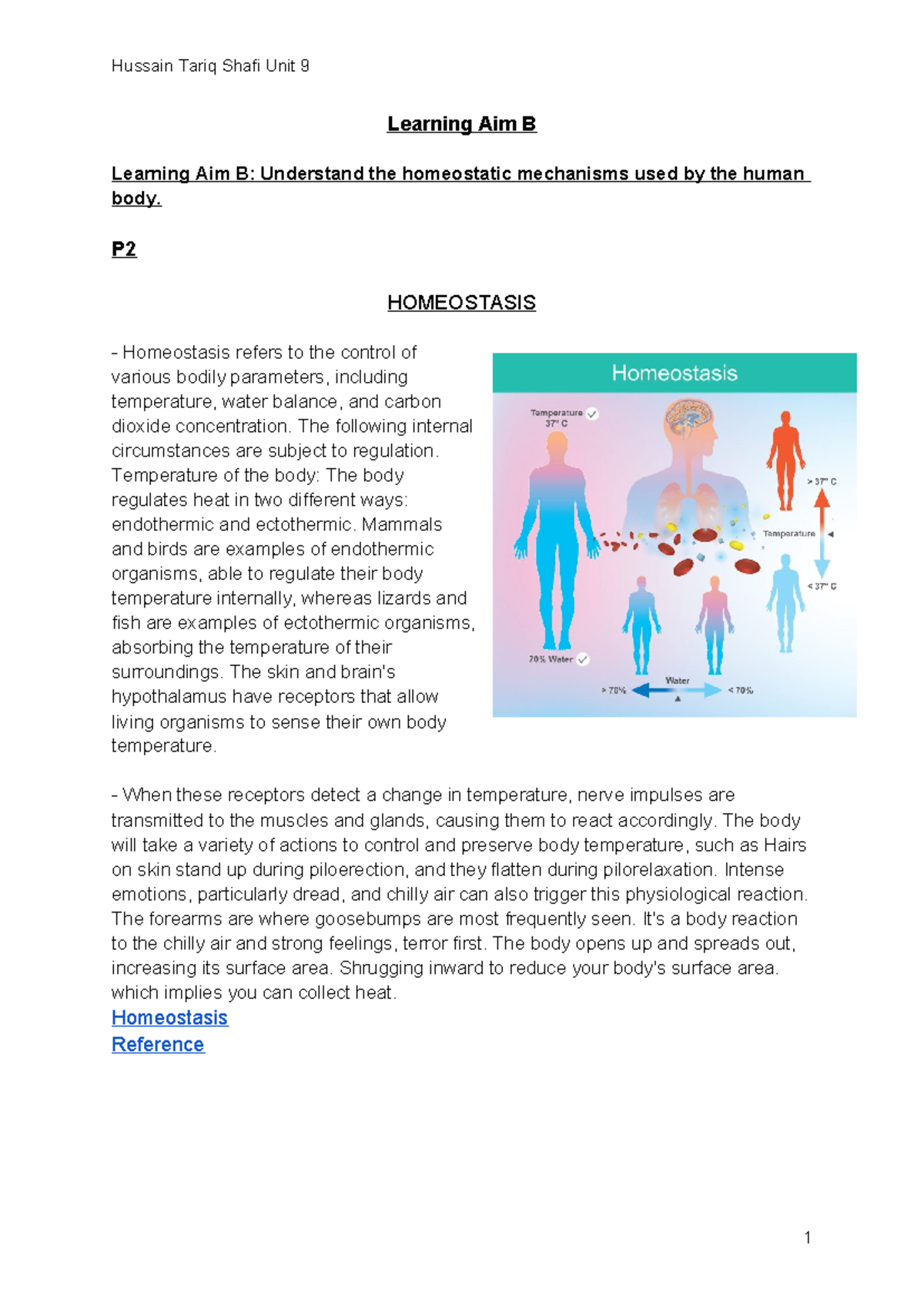 Homeostasis Mechanisms in Human Body: Learning Aim B Overview - Studocu