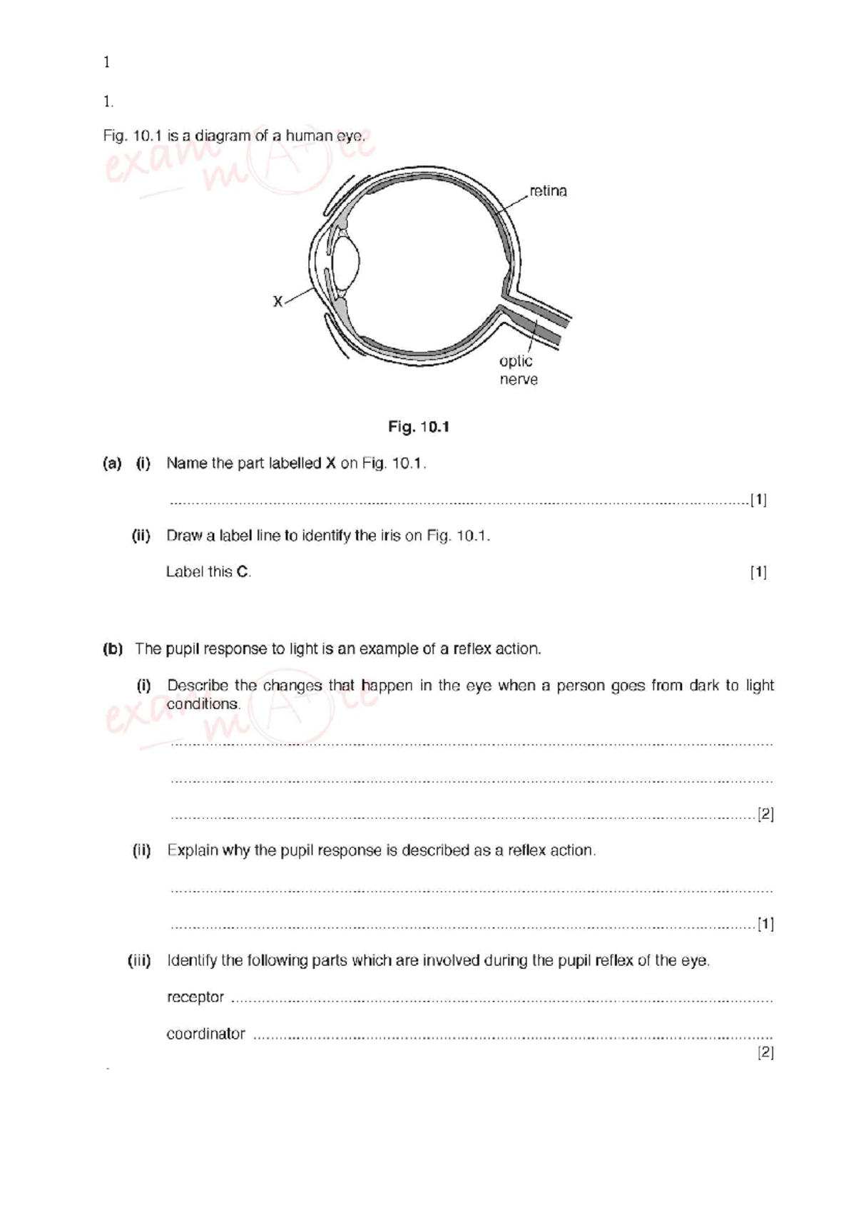 B9 Test - IGCSE Atomic Physics Worksheet and Eye Reflexes Analysis ...