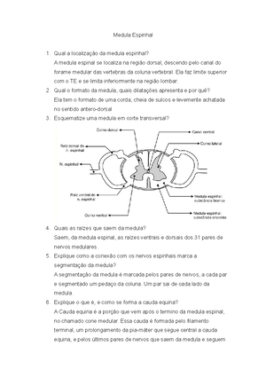 UFRN-CB-DMOR - Aula prática de neuroanatomia: telencéfalo - Studocu