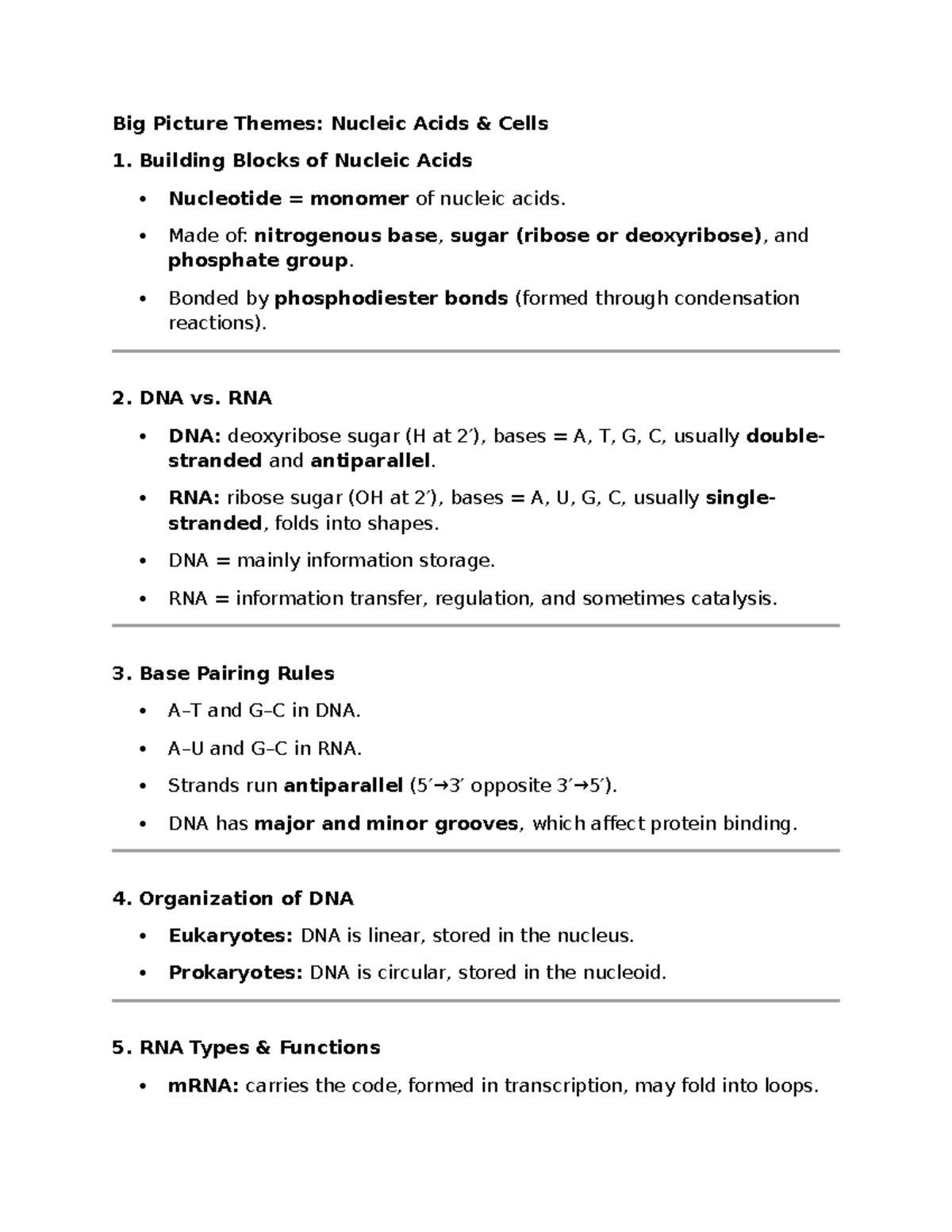 Big Picture Themes 6: Nucleic Acids Exam 1 Study Guide - Studocu