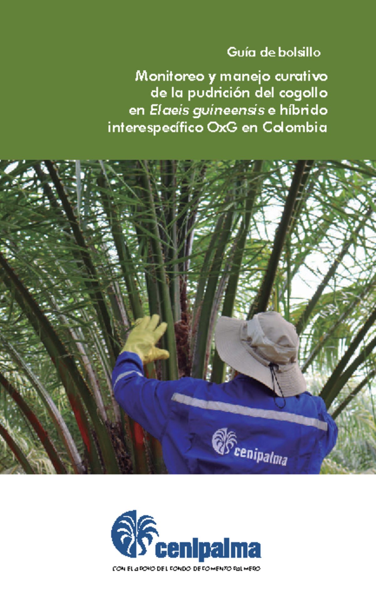Guía de Monitoreo y Manejo Curativo de la Pudrición del Cogollo en ...