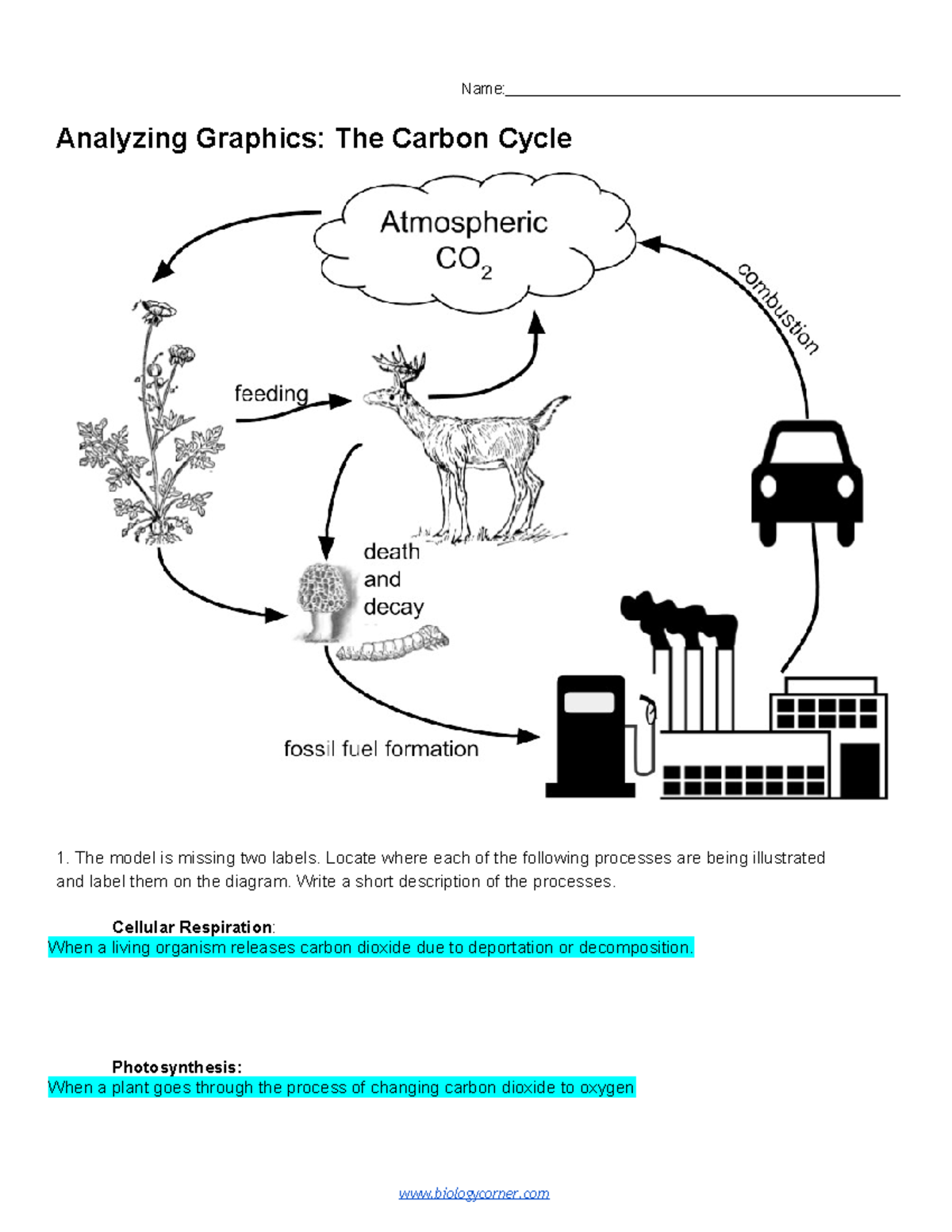 Carbon Cycle Diagram To Label