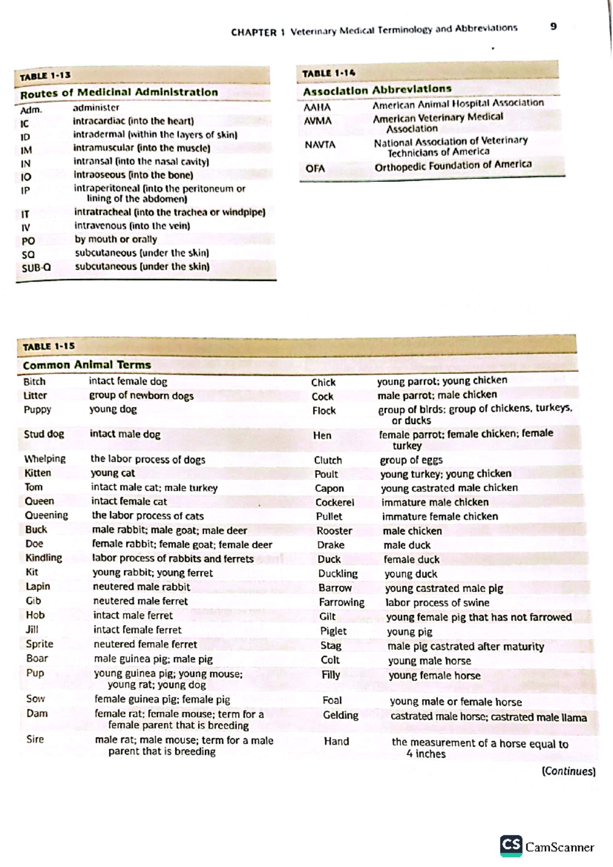 Chapter 1: Veterinary Medical Terminology & Abbr. (Vet Med) - Studocu