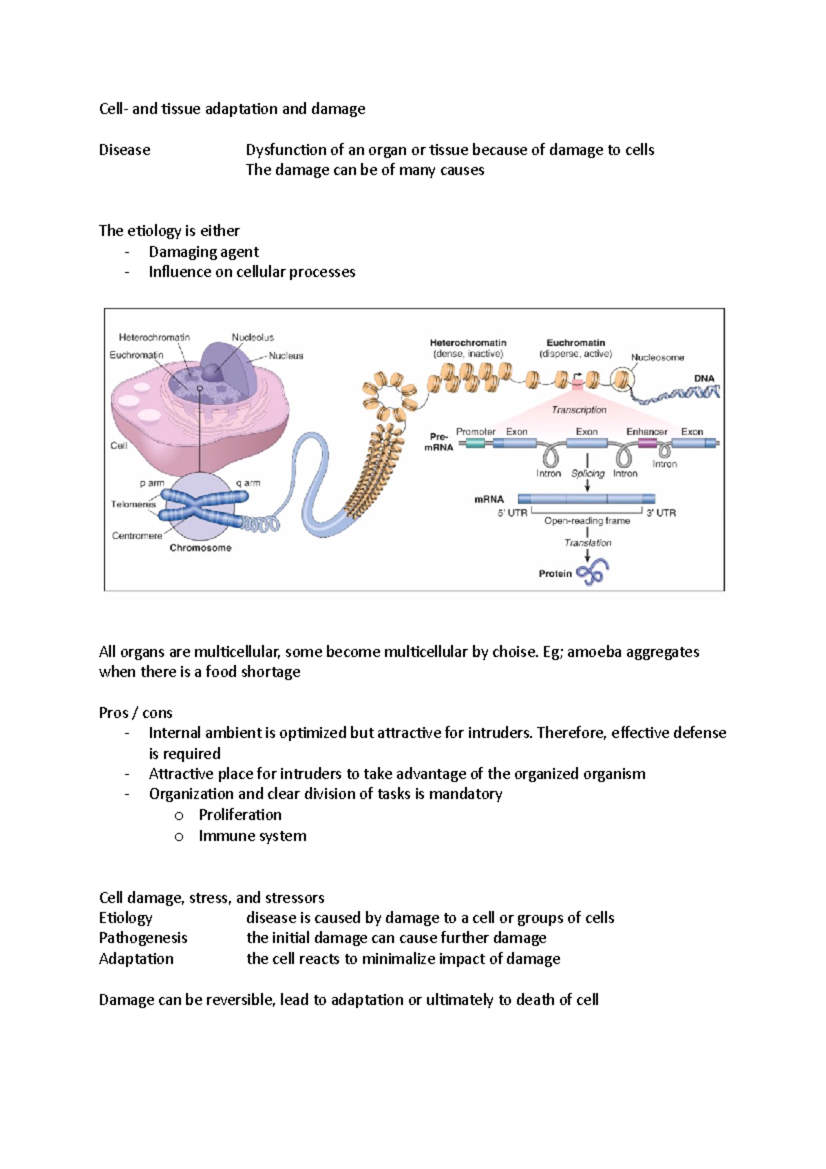 Pathology Hoorcollege 1-3: CH2 Cell Injury, Death & Adaptations Overview - Studeersnel