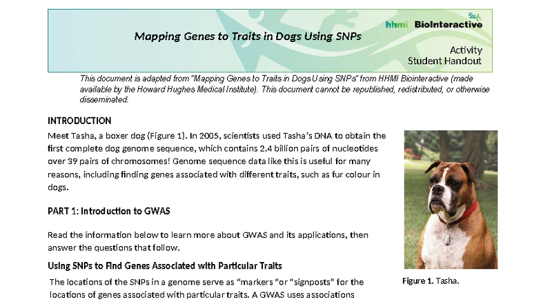 F25 Wk 10 Dog GWAS Activity: Mapping Genes to Traits Using SNPs - Studocu