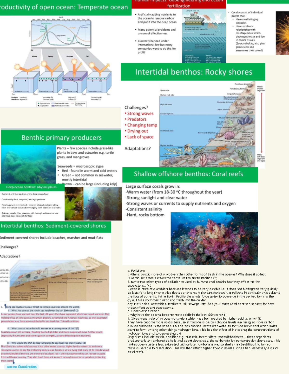 Pollution and Ocean Acidification: Impacts on Marine Ecosystems - Studocu
