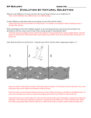 Science 6-Q4-SLM3 - Science 6 Science – Grade 6 Quarter 4 – Module 3 ...