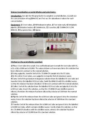 PAG 4.3 Enzyme Activity Experiment: Amylase & Starch Breakdown Analysis ...