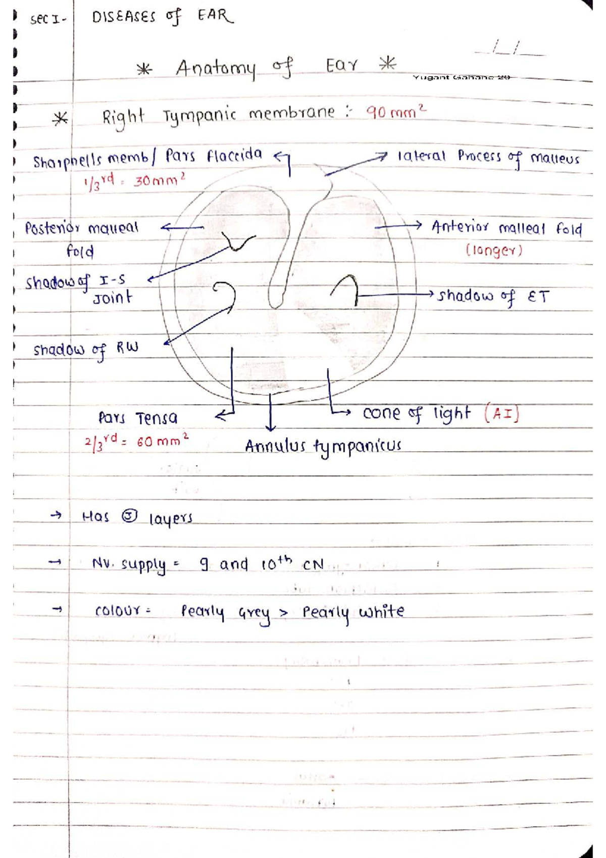 ENT-Yugant UT Final Exam Notes on Ear Diseases and Anatomy - Studocu