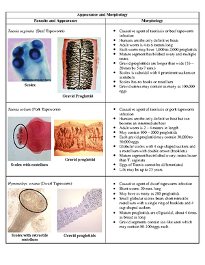 Basic Principles of Hemostasis - CLINICAL CHEMISTRY (LAB) Sir John ...