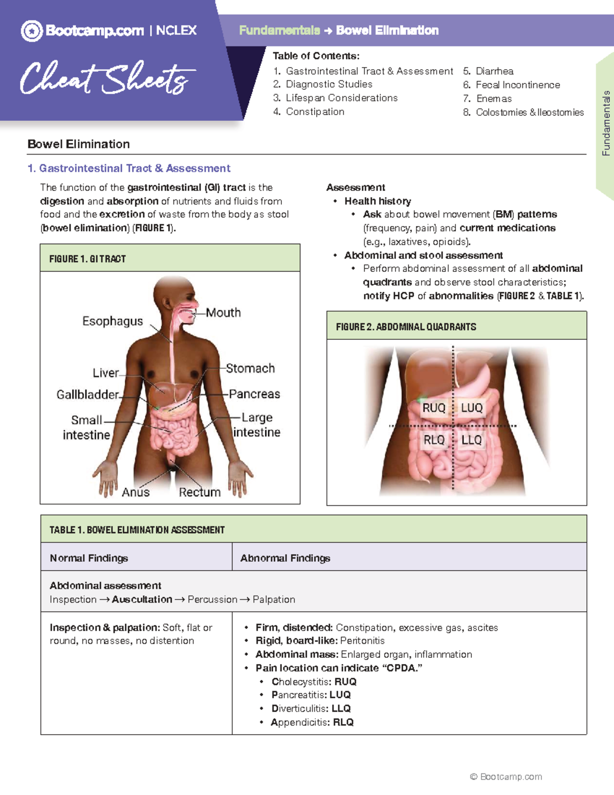 Bowel Elimination Cheat Sheet: GI Tract Assessment & Interventions ...