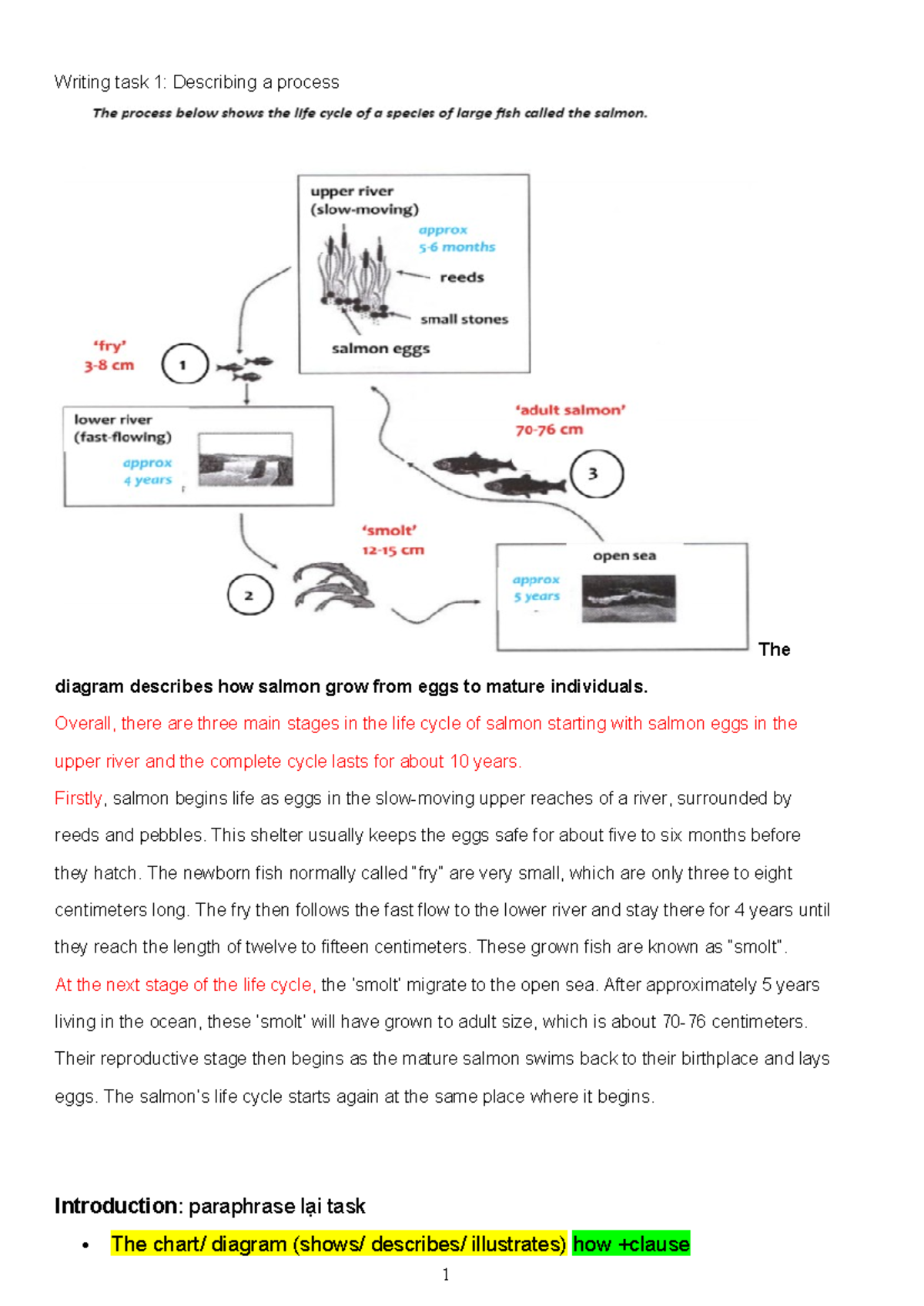 Writing task 1: Describing the process of salmon growth - Studocu