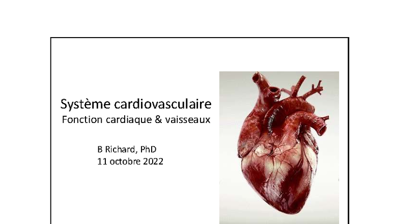 Système Cardiovasculaire : Fonction Cardiaque et Vaisseaux - BR x2 ...