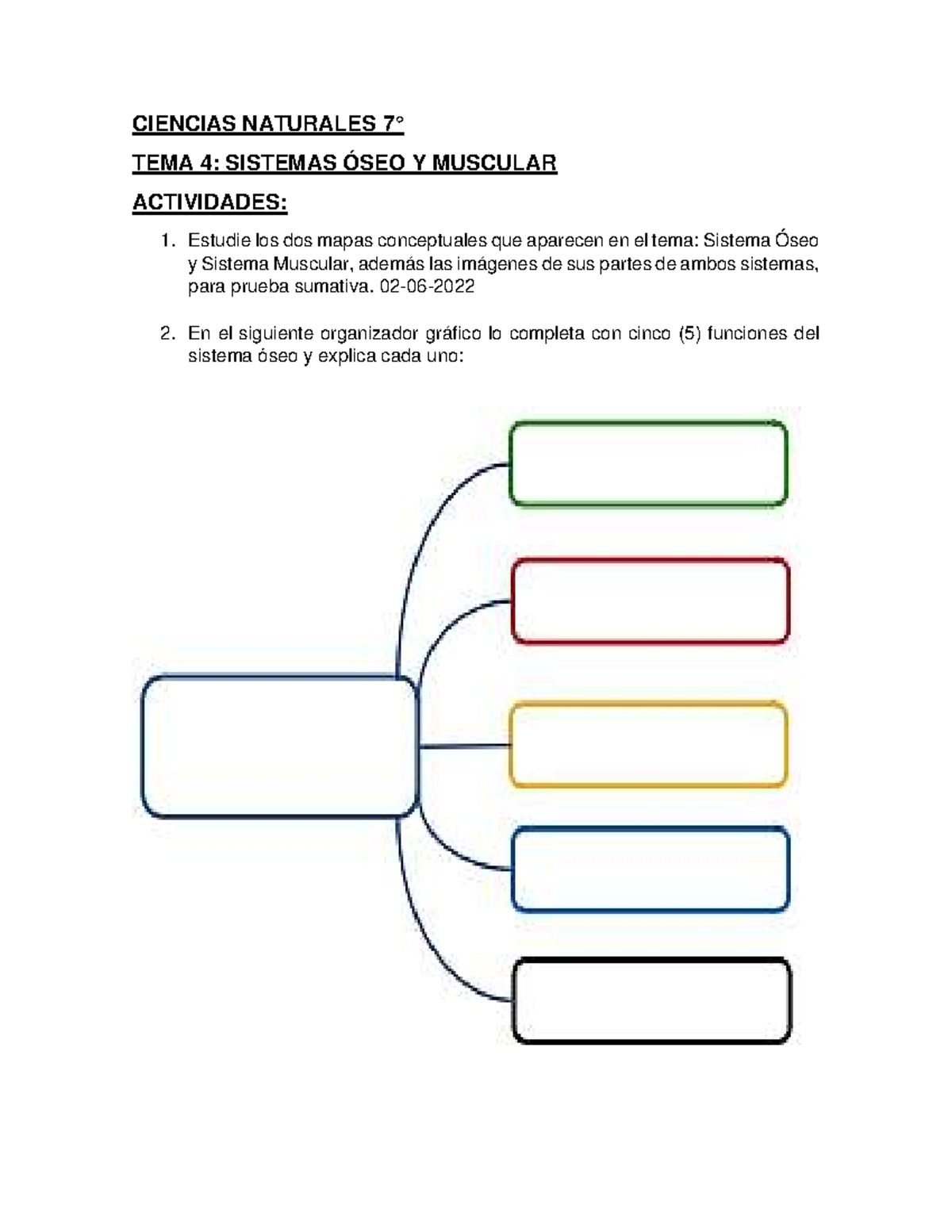 CIENCIAS NATURALES 7: TEMA 4 - SISTEMAS ÓSEO Y MUSCULAR ACTIVIDADES ...