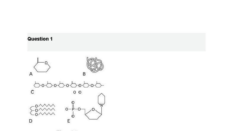 Anatomy and Physiology EOS 1: Exam Questions and Answers - Studocu