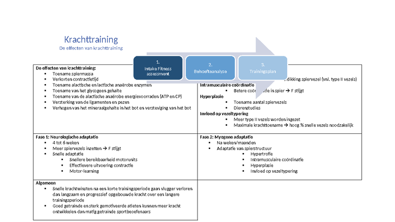 Krachttraining: Effecten en Trainingsplannen - Sport & Beweging ...
