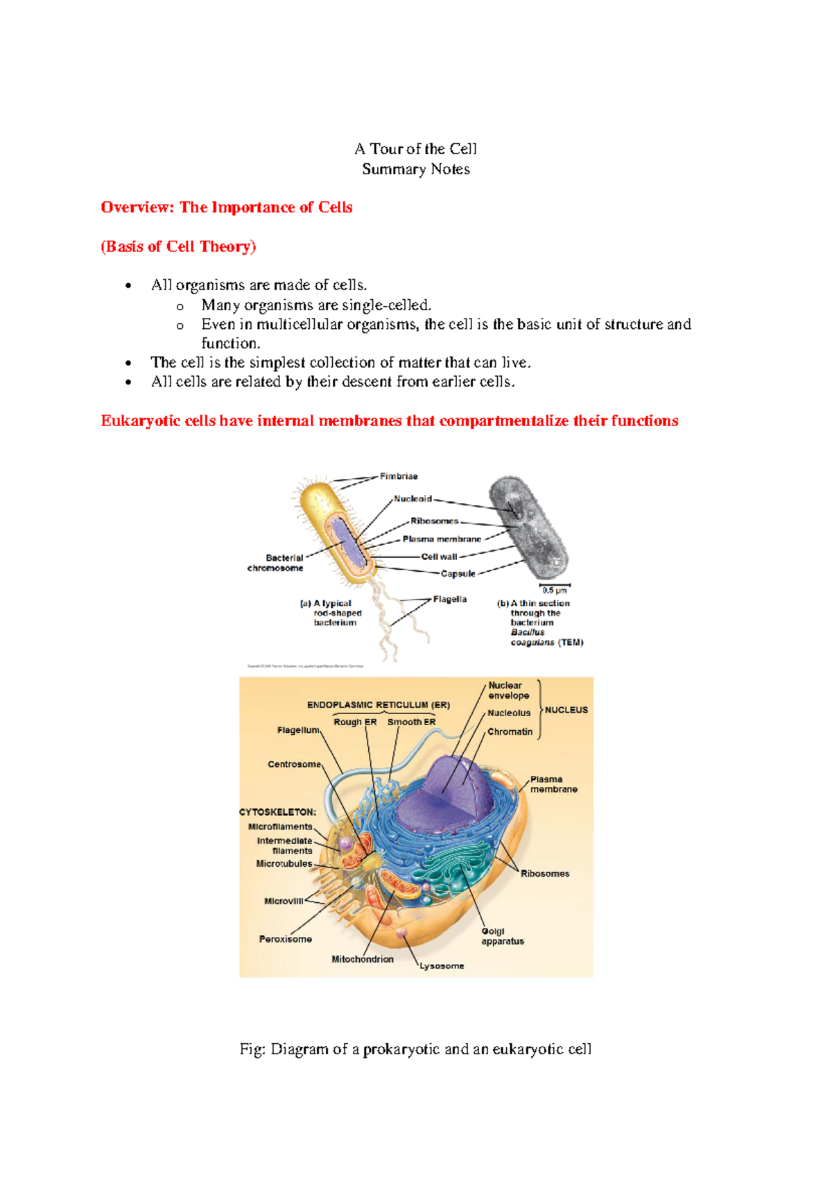 Tour of the Cell - Study Notes - A Tour of the Cell Summary Notes ...