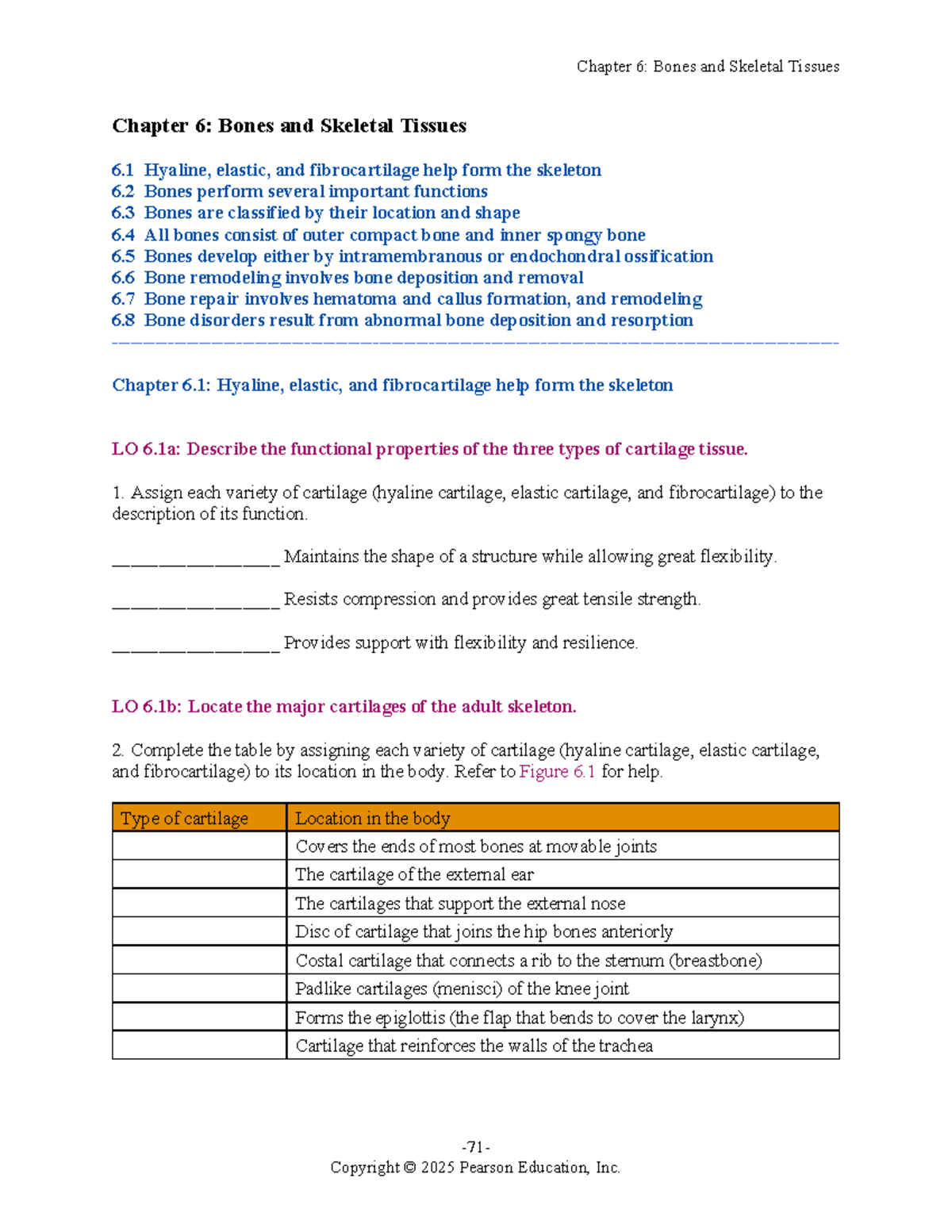 Chapter 6 Exam Review: Bones and Skeletal Tissues Insights - Studocu