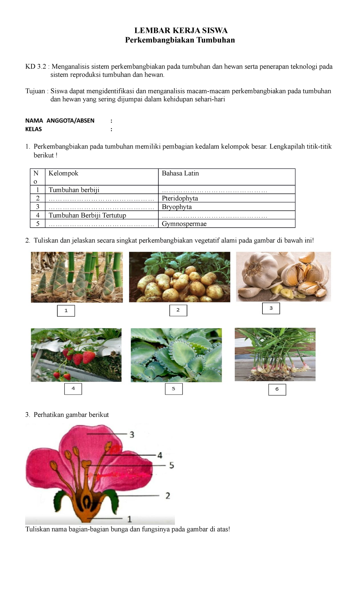 LKS Sistem Reproduksi Tumbuhan DAN Hewan - LEMBAR KERJA SISWA Perkembangbiakan Tumbuhan KD 3 ...