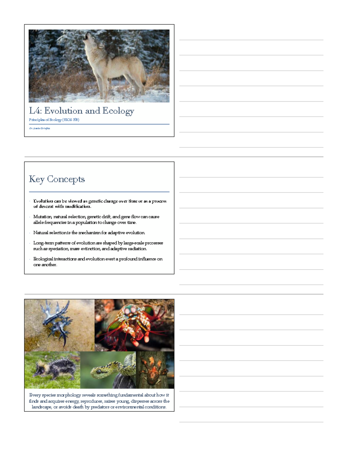 BIOS 305 L4: Key Concepts in Evolution and Ecology - Studocu
