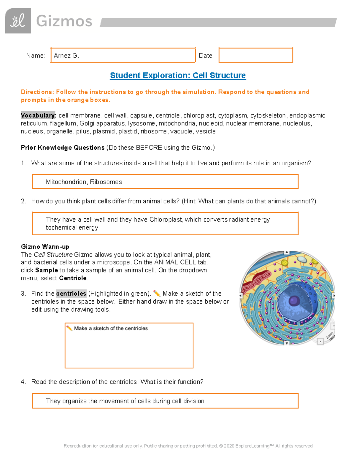 Student Exploration: Cell Structure SE - Gizmo Activity - Studocu