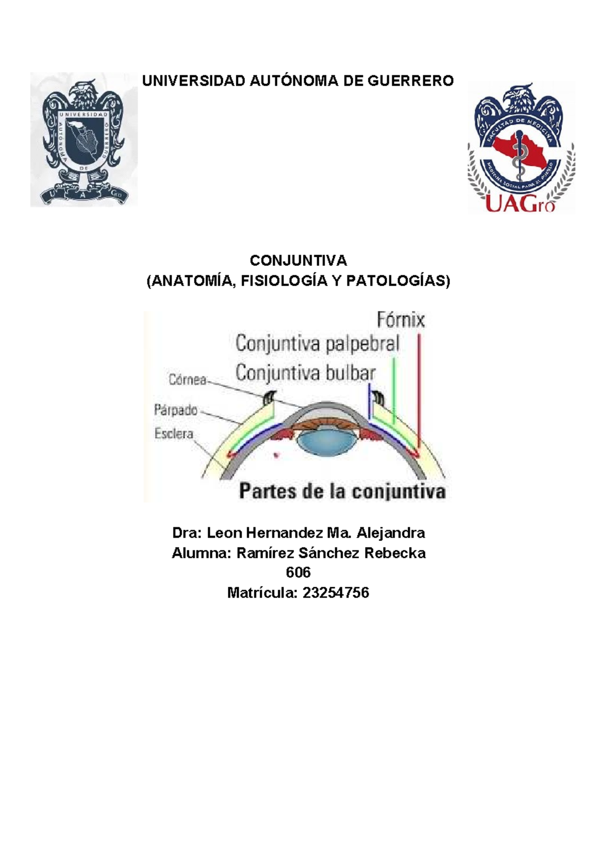 Anatomía y Fisiología de la Conjuntiva - Rebecka Ramírez 606 - Studocu