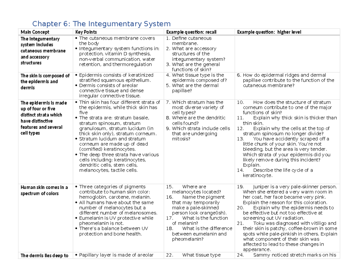 Integumentary System Overview: Key Concepts and Functions - Chapter 6: The Integumentary System ...