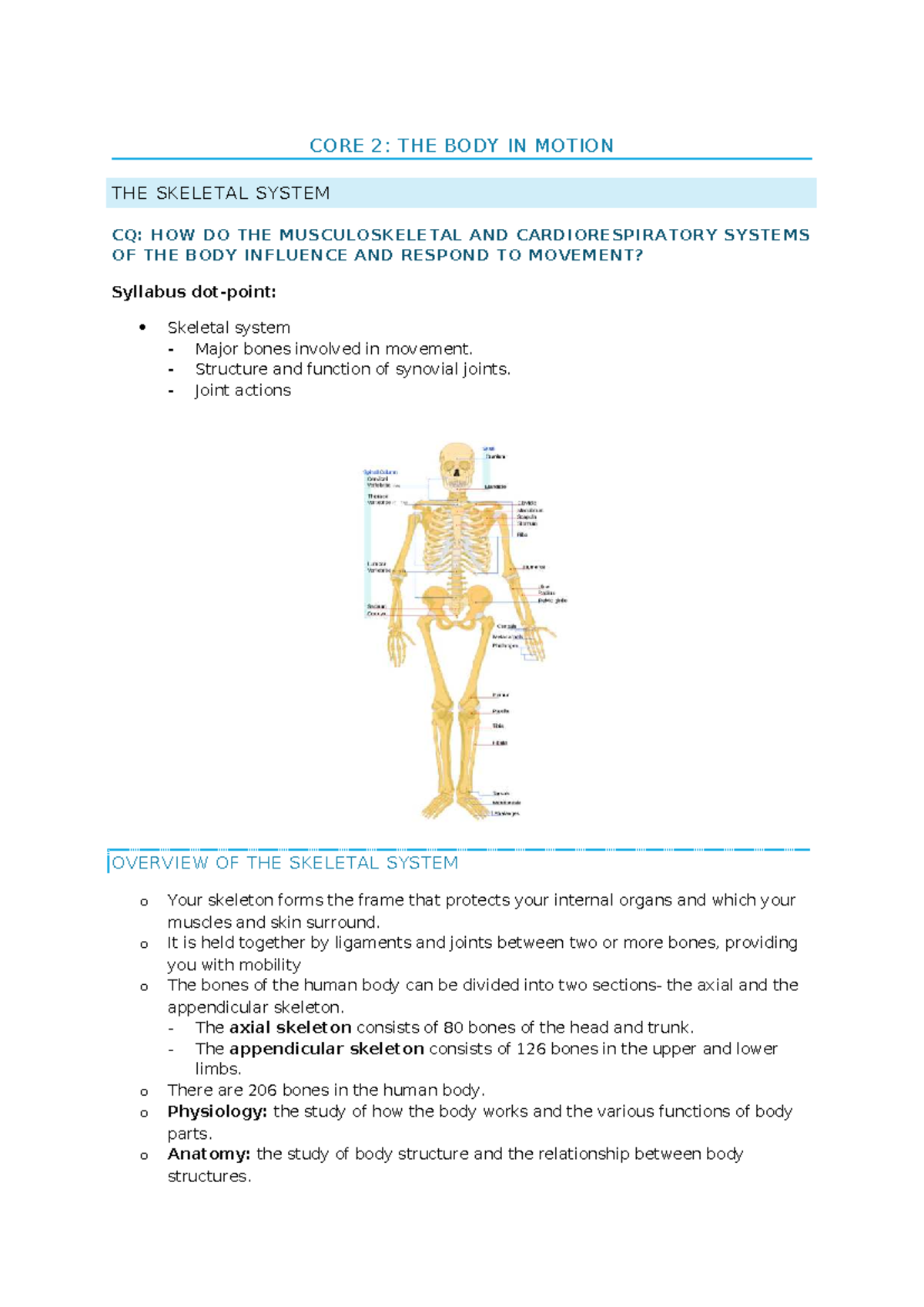 CORE 2: THE BODY IN MOTION - SKELETAL & MUSCULAR SYSTEMS OVERVIEW - Studocu
