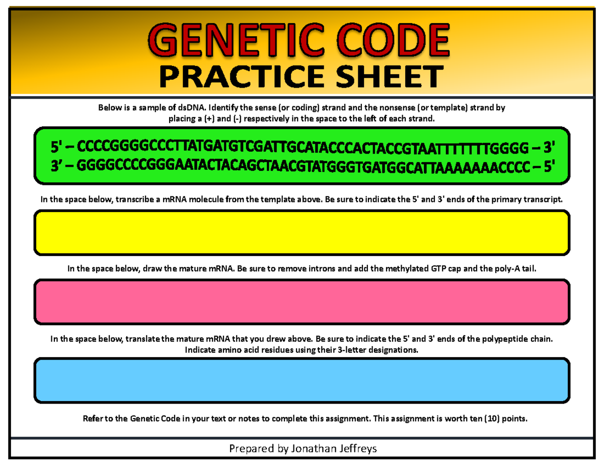 Genetic Code Exercise Assignment - Identify Strands & Transcribe mRNA ...