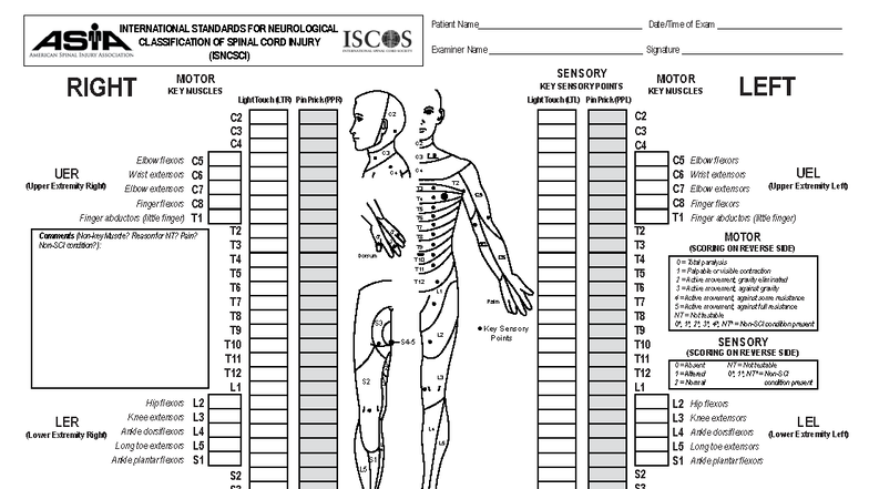 ASIA Worksheet 1 - ISNCSCI Spinal Cord Injury Classification - Studocu