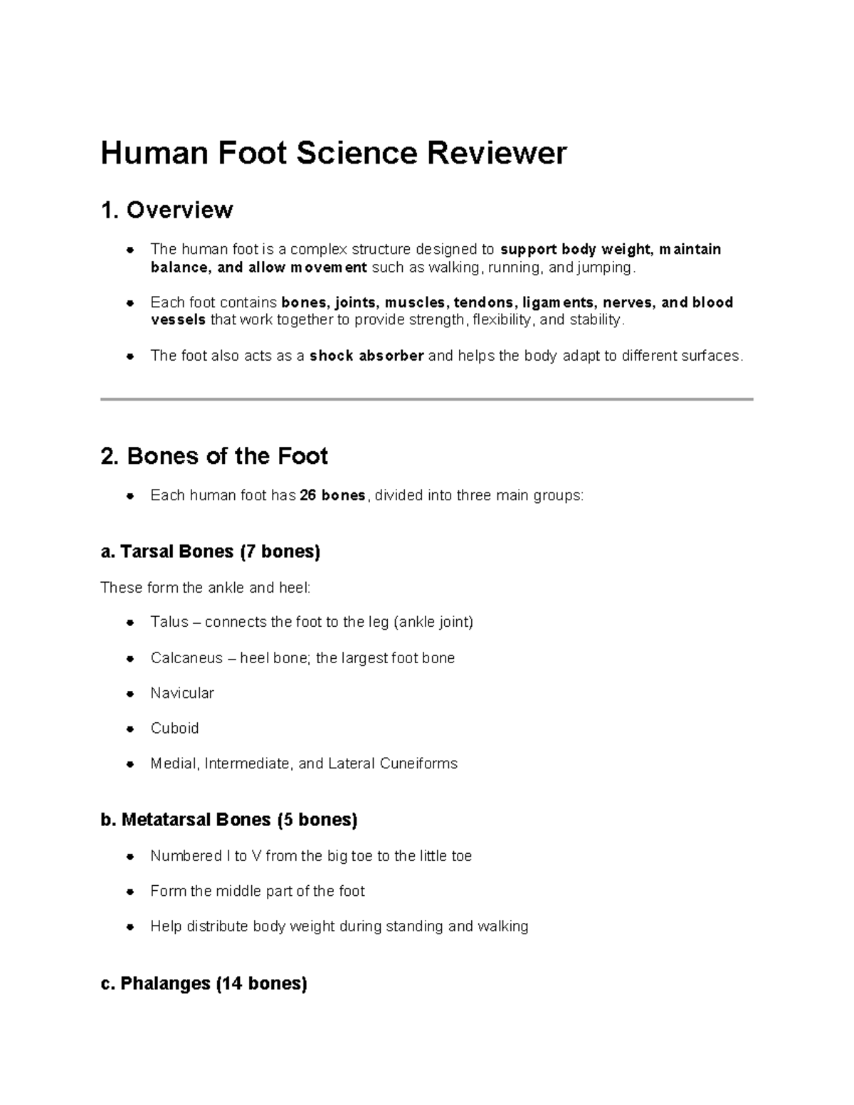 Human Foot Anatomy & Function Review - Science 101 - Studocu