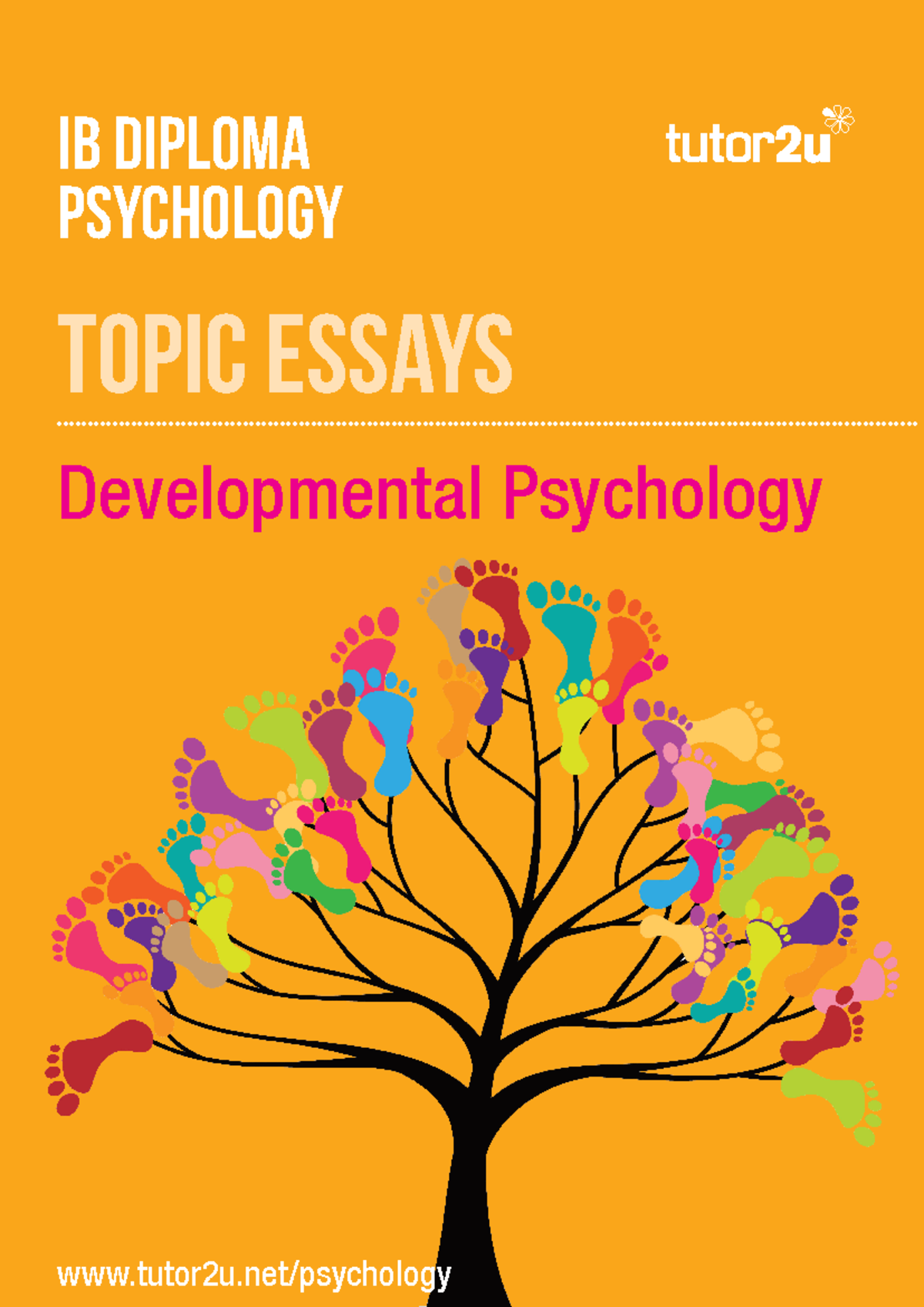 04 IB Psych Developmental Psychology Topic Essays & Evaluations - Studocu